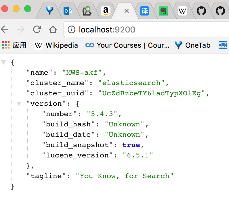 Debug Elasticsearch Souce Code in IntelliJ IDEA | Zhitao